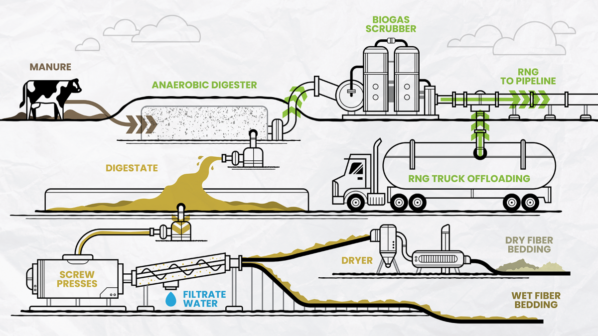 Holy Cow: Turning Manure into Renewable Natural Gas - MKEC Engineering